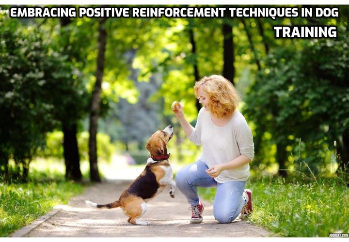 Embracing Positive Reinforcement Techniques in Dog Training – Anti ...